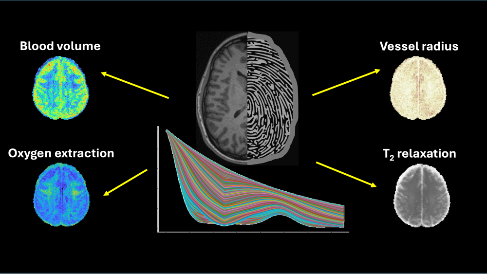 Functional Advanced Neuroimaging Lab